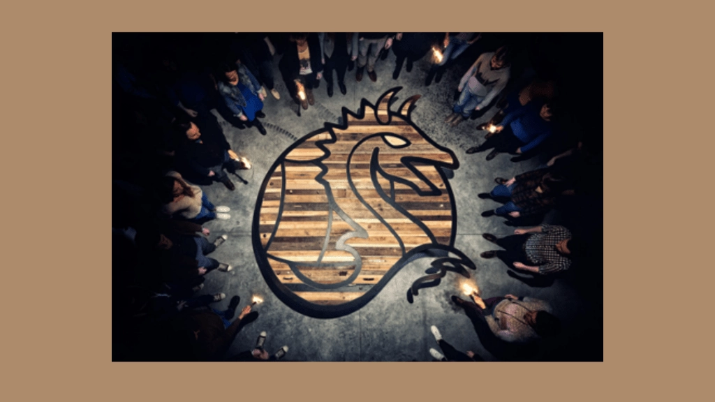 Mobile Vikings lanceert nieuwe abonnementen, prijzen dalen met 25% ...